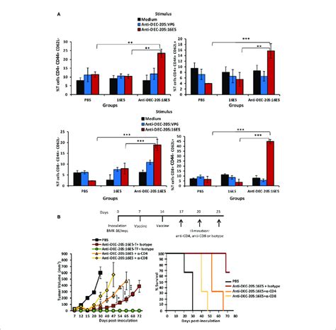 16e5 Specific Memory T Cells Play An Important Role In Protecting Download Scientific Diagram