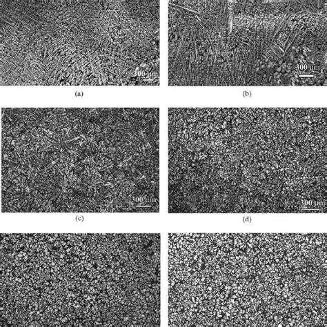 As Cast Microstructures A Very Large Grain Structure Produced By Download Scientific Diagram