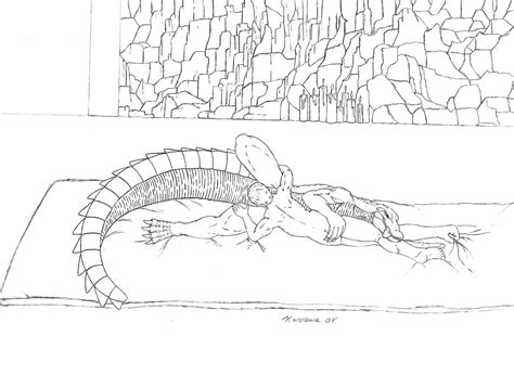 Rule 34 2008 Alligator Anthro Barefoot Black And White Candle Claws