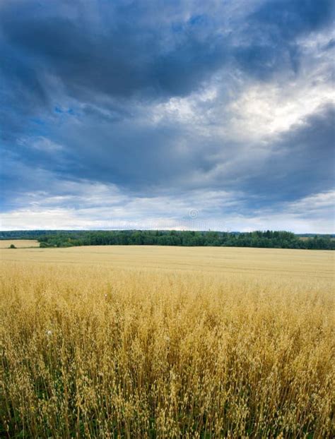 Storm Cloud Stock Image Image Of Shadow Field Grass 26243557