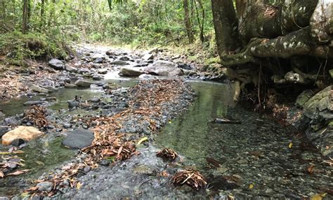 Hydrology And Geomorphology Nsf Neon Open Data To Understand Our