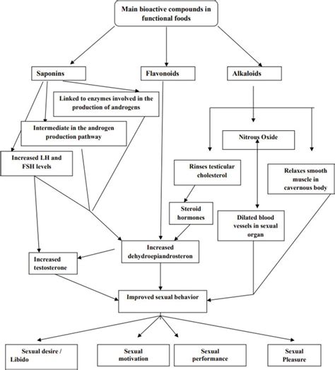 Libido Boosting Functional Foods Intechopen