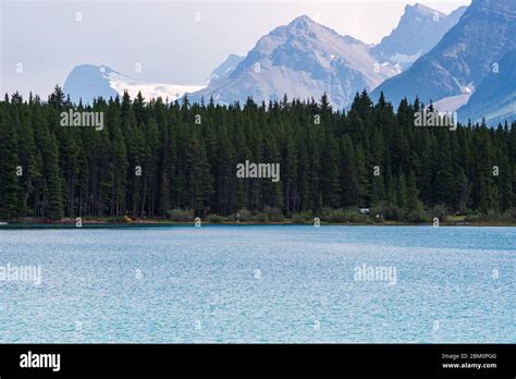 Athabaska River Sceneries Along The Icefields Parkway Alberta Canada