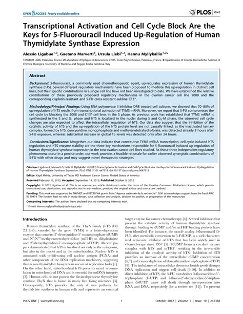 Pdf Transcriptional Activation And Cell Cycle Block Are The Keys For