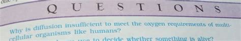 Why Is Diffusion Insufficient To Meet The Oxygen Requirements Of Multicel