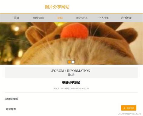 Springboot网络图片相册照片分享网站vuespringboot图片模块 Csdn博客
