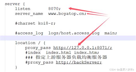 nginx从入门到入土（三） 静态资源管理与代理服务 nginx代理静态资源 csdn博客