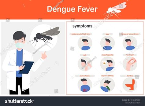 Vector Illustration Symptoms Dengue Fever Flat Stock Vector Royalty