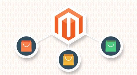 Magento Multistore Websites Store Und Views