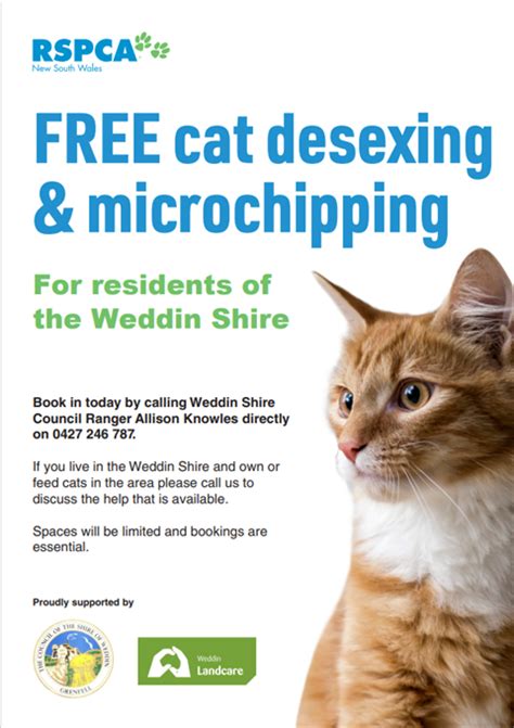 Free Cat Desexing And Microchipping For Residents Of Weddin Shire