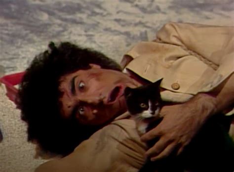 Sctv Dr Tongues 3d House Of Cats Cinema Cats