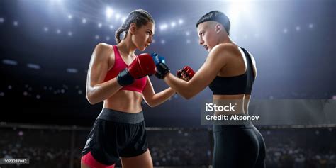 프로 권투 링에서 여성 Mma의 전투기 권투 스포츠에 대한 스톡 사진 및 기타 이미지 권투 스포츠 얼굴을 맞대다 Combat Sport Event Istock