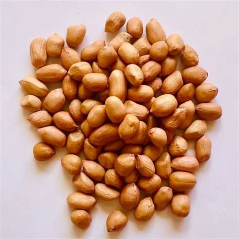 Plain Raw Peanut Kernel At Rs 106 Kg Raw Peanut In Kanpur Id