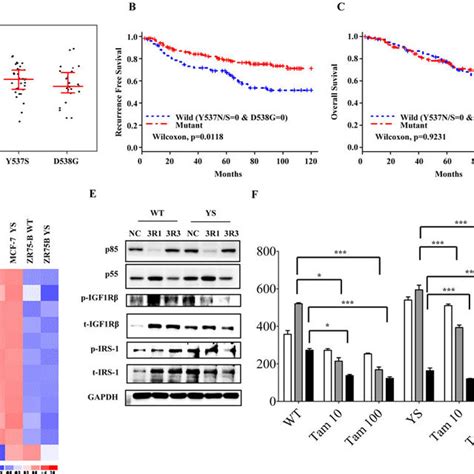 Esr1 Mutation Do Not Predict Outcomes In Patient Treated With Adjuvant