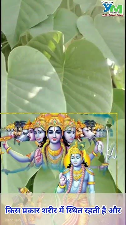 श्रीमद्भागवत गीता पुरुषोत्तमयोग अध्याय पंद्रहवाँ श्लोक 10 Youtube