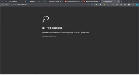 记一次设置代理无法正常访问网页以及burpsuite放出数据包任然无法正常访问网页的情况 小鱼qaq 博客园