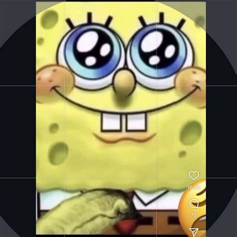 Fentbobnigerpants Youtube