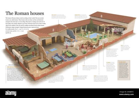 The Social Hierarchy Of Ancient Roman Housing Okzaa