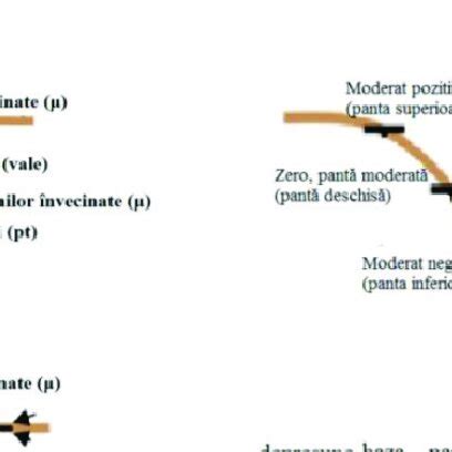 Figura nr Reprezentare a modului de calcul al indicelui poziției Download Scientific Diagram