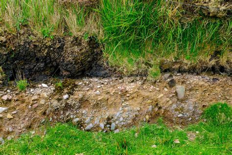 What Is A Blanket Bog — Discover Iveragh