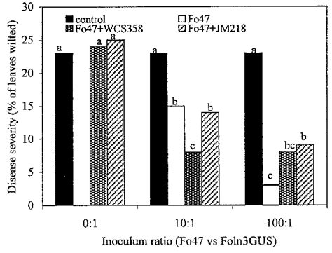 Effects Of Pseudomonas Putida Wcs358 And The Sid Mutant Jm218 On