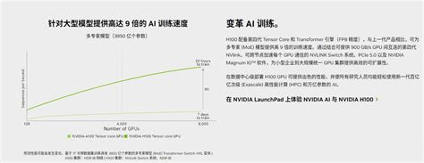 2024年最新：一文看懂英伟达显卡b100、h200、l40s、a100、a800、h100、h800、v100如何选择，附架构技术和性能对比
