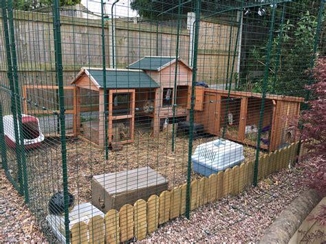 How To Keep Rabbit Cage Diy At Kiara Dominic Blog