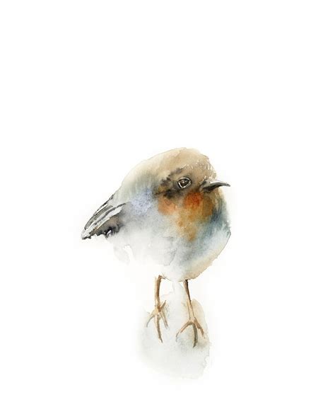 Robin Bird Watercolor Painting Bird Art Print Bird Wall Art Etsy