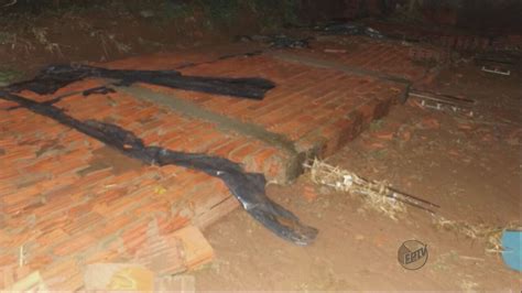 Chuva De Meia Hora Derruba árvores E Inunda Casas E Ruas Em