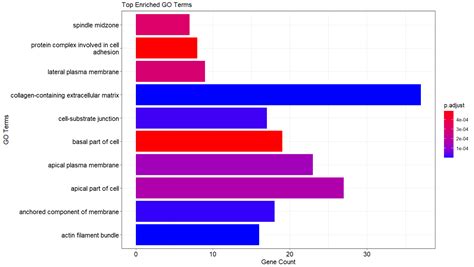 Padj Based Gradient Scale From Barplot Clusterprofiler Results Does Not Work Properly