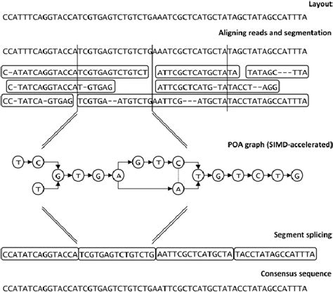 Overview Of The Racon Consensus Process Download Scientific Diagram