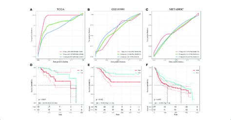 Survival Analysis Prognostic Performance And Risk Score Analysis Of