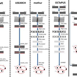 Overview Of The Different Steps Within Each Pipeline Download Scientific Diagram
