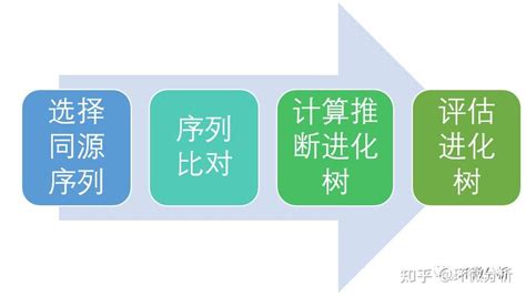 如何使用mega软件构建系统发育树 速成实用经验 mega构建系统发育树 csdn博客