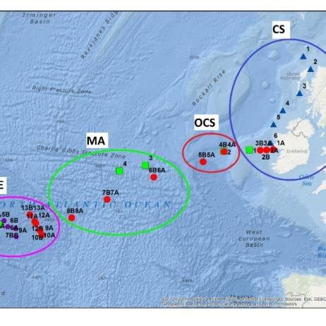 A Multi Dimentional Scaling MDS Ordination Method Representing Fish