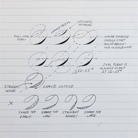 Spencerian Part Ii Basic Strokes And Minuscules Artofit