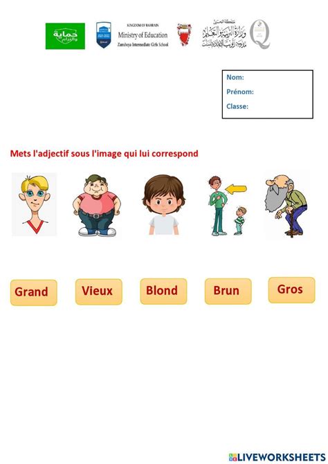 Les Adjectifs 0739 Latifa Mrizek Live Worksheets