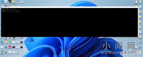 【小白导向】如何正确有效的删除docker镜像（针对portainer） 小闻网