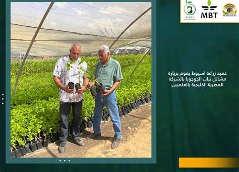 عميد زراعة أسيوط يتفقد مشتل زراعات الجوجوبا بالعلمين المصري اليوم
