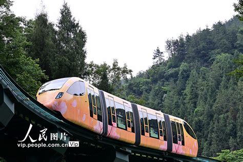 人民日報 Peoples Daily On Twitter 【重慶酉陽：森林美 遊人來】入夏以來，重慶市酉陽土家族苗族自治縣持續推出