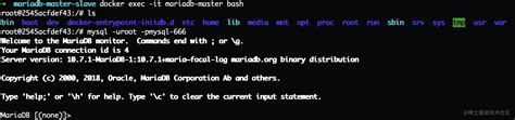 docker 主从部署 mariadb 简书
