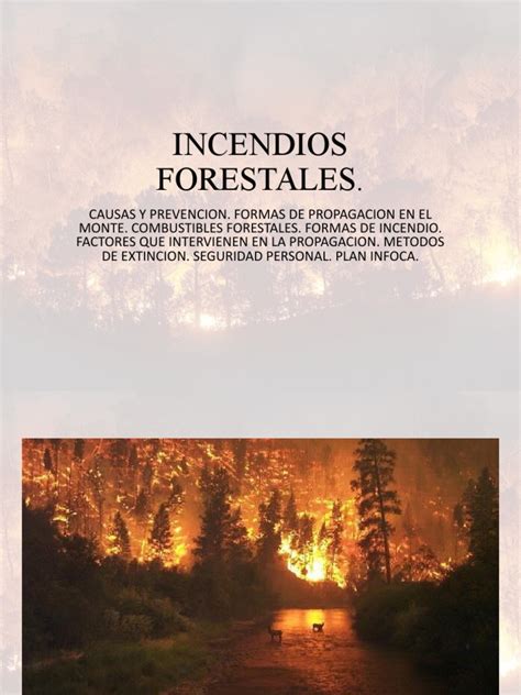 Incendios Forestales Pdf