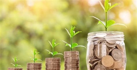 Fixed Vs Variable Annuities Understanding Your Investment Options EMoneyIndeed