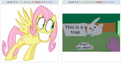 221945 Suggestive Angel Bunny Fluttershy Spike Exploitable Meme