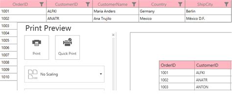 Printing In Wpf Datagrid Control Syncfusion