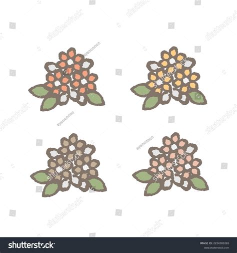 Different Types Cute Bouquet Illustration Sets Stock Illustration