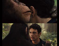 Ape Meme Templates Imgflip