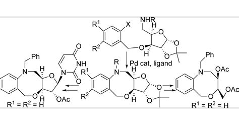 Palladium Mediated Intramolecular Aryl Amination On Furanose