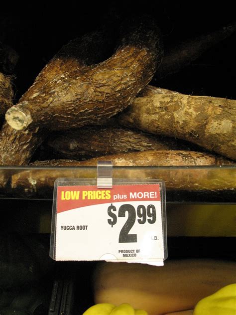 Sensible Survival Yucca Root Is Not Edible