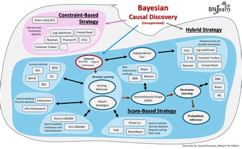 causal discovery towards data science
